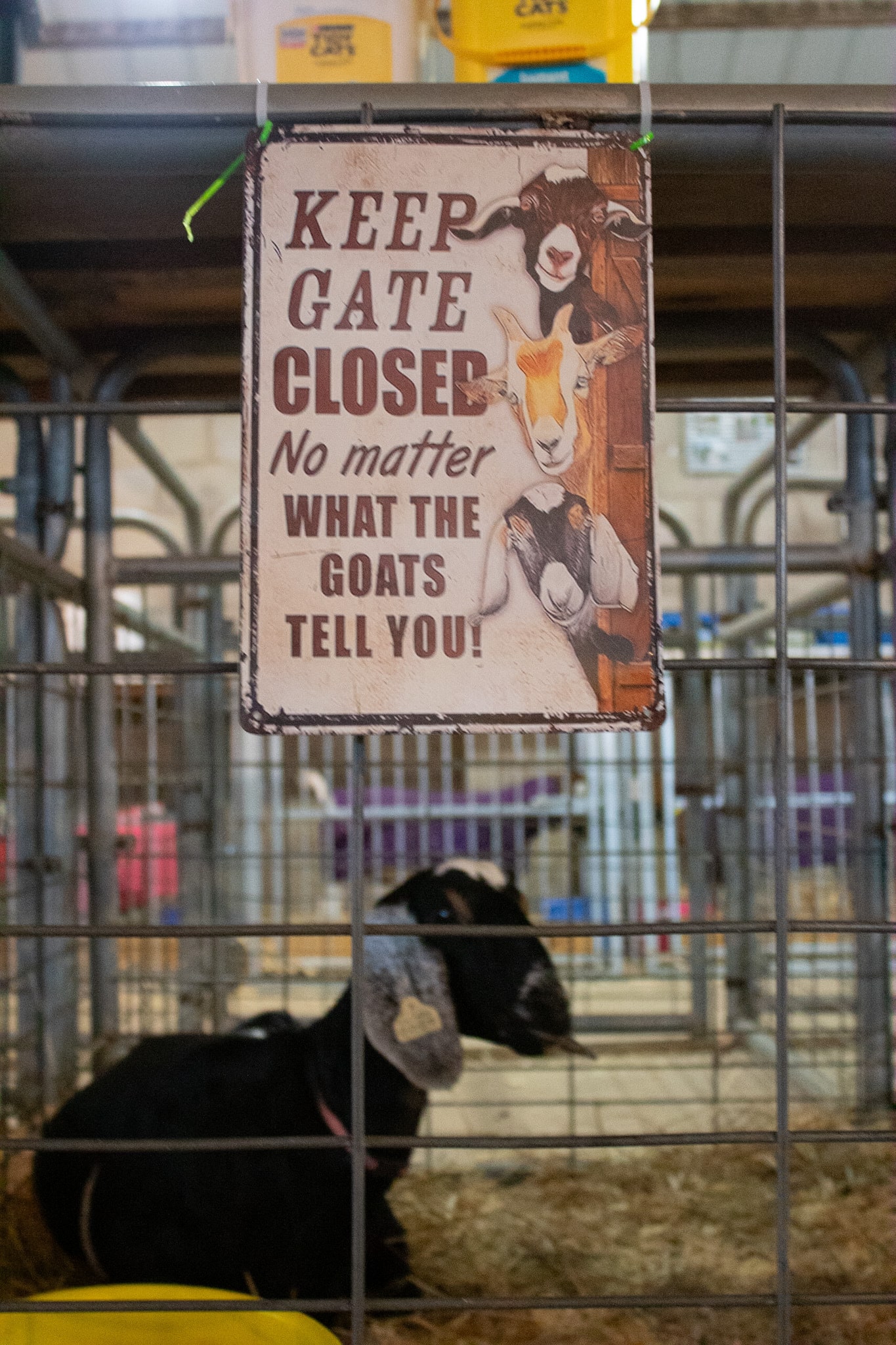 Athens County Fair in photos