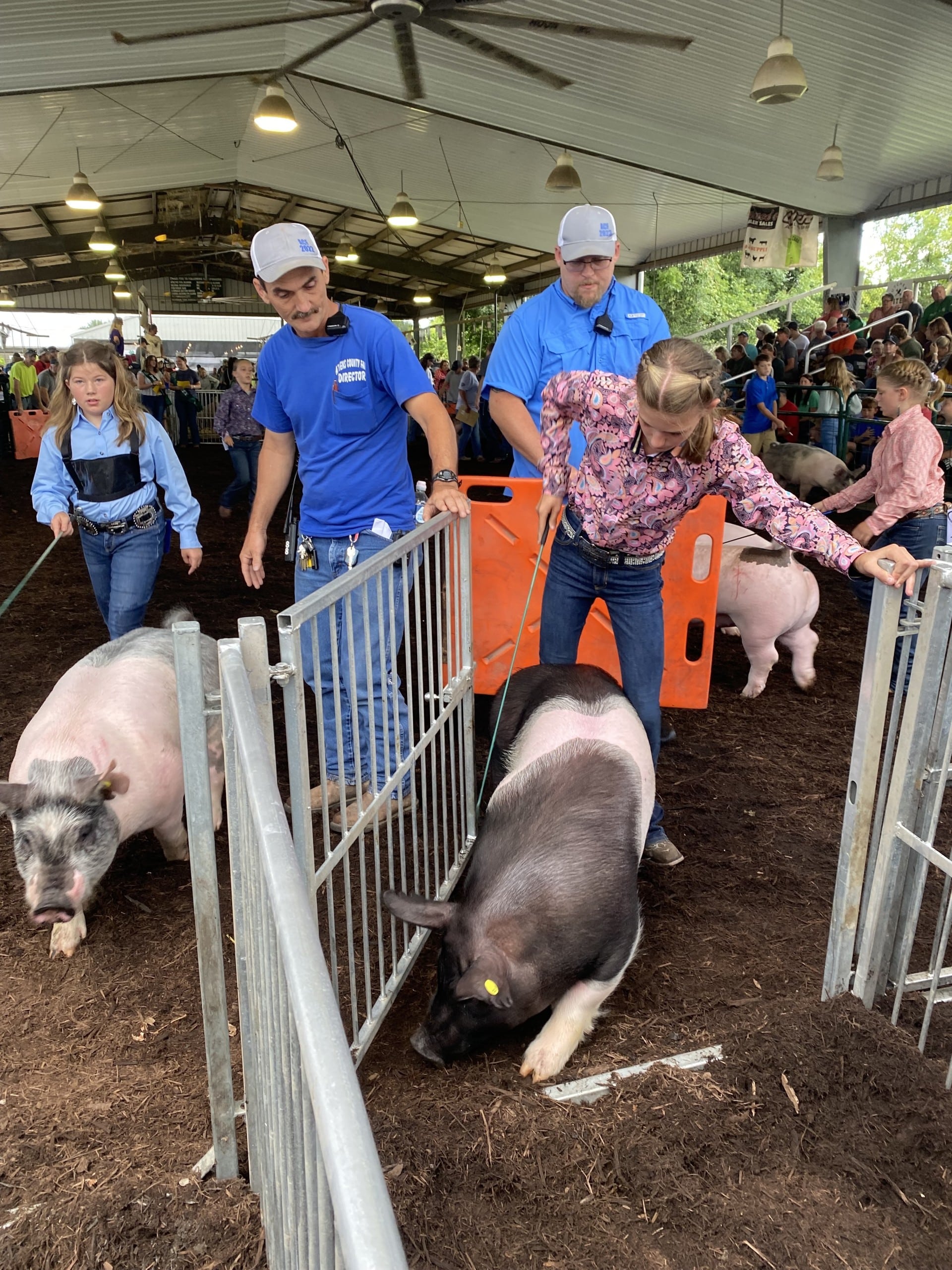 Junior Fair Swine Show a learning experience for all – Athens County ...