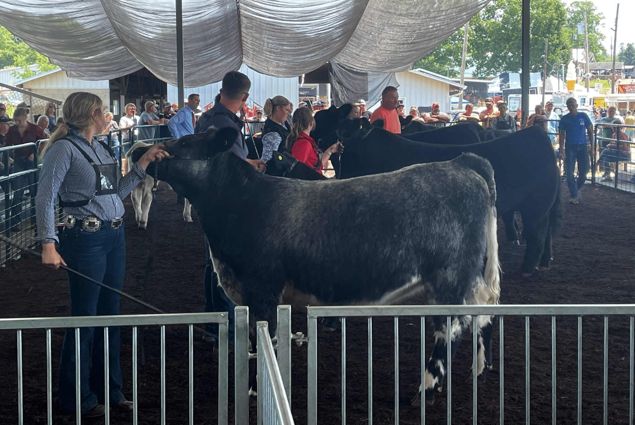 Athens County Fair in photos