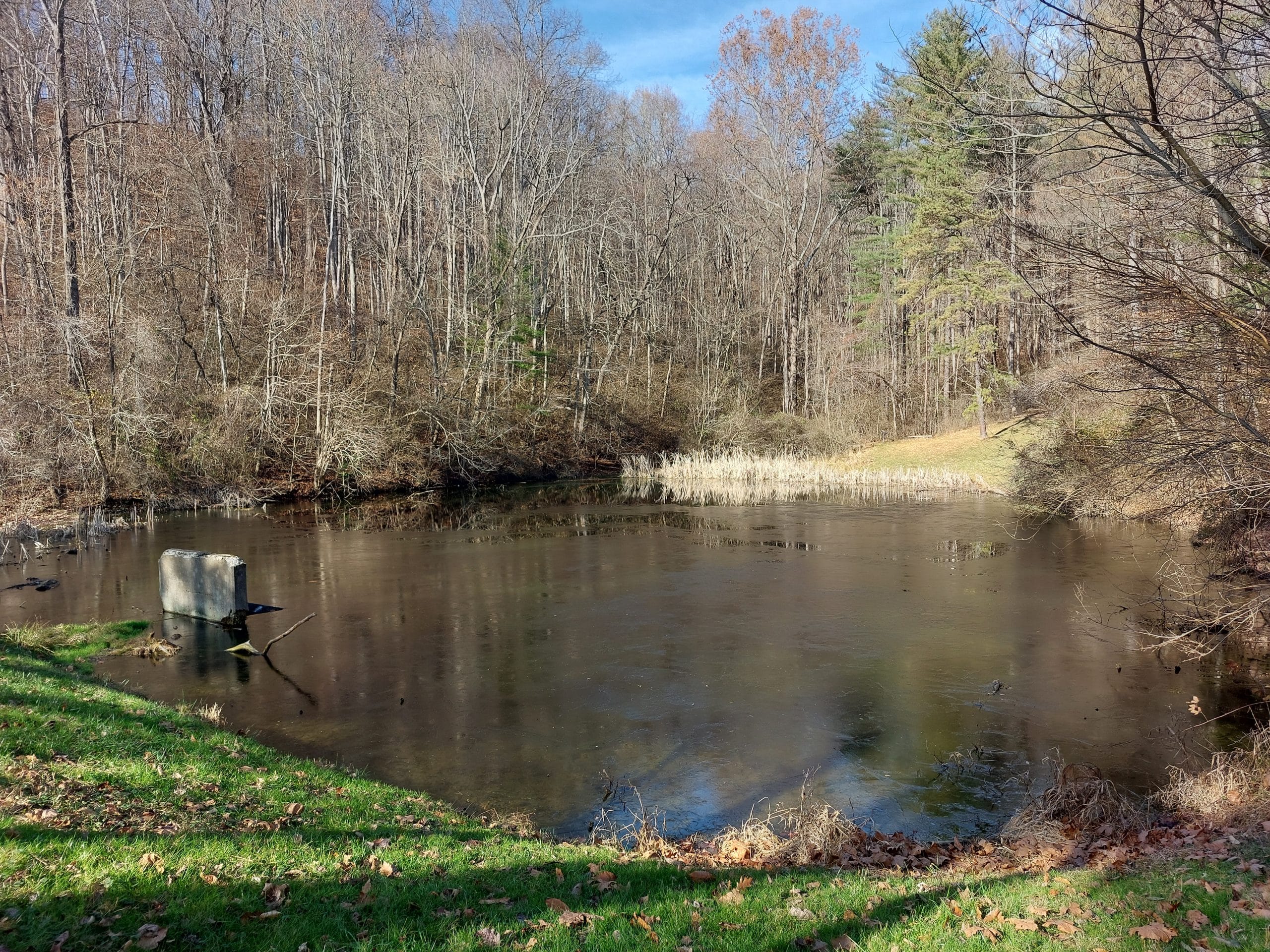 City effort pays off for park pond — and city gardeners – Athens County ...