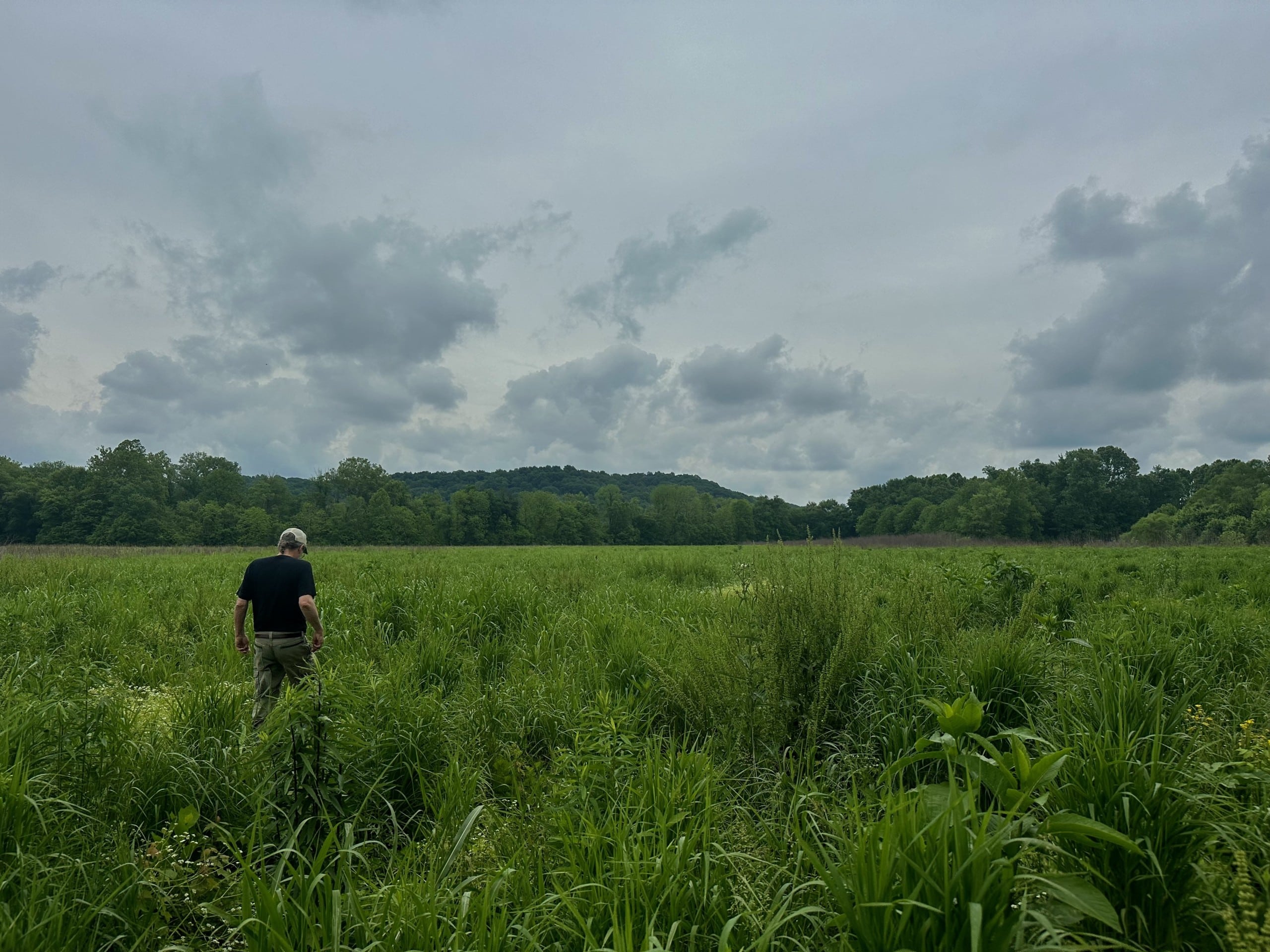 American Eel Preserve aims to host elusive species – Athens County ...