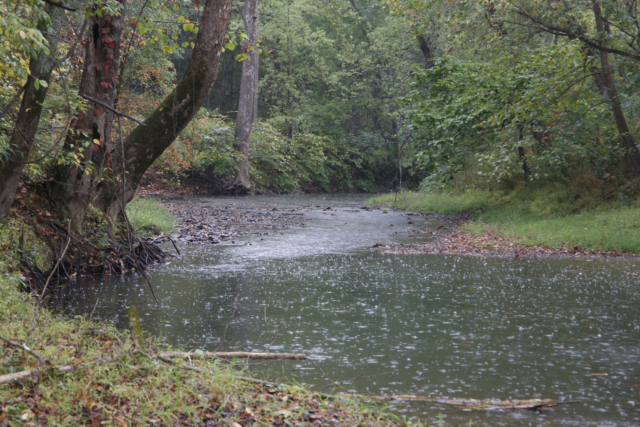 Hocking River is fit for fish and crawdads but not people, Ohio EPA ...