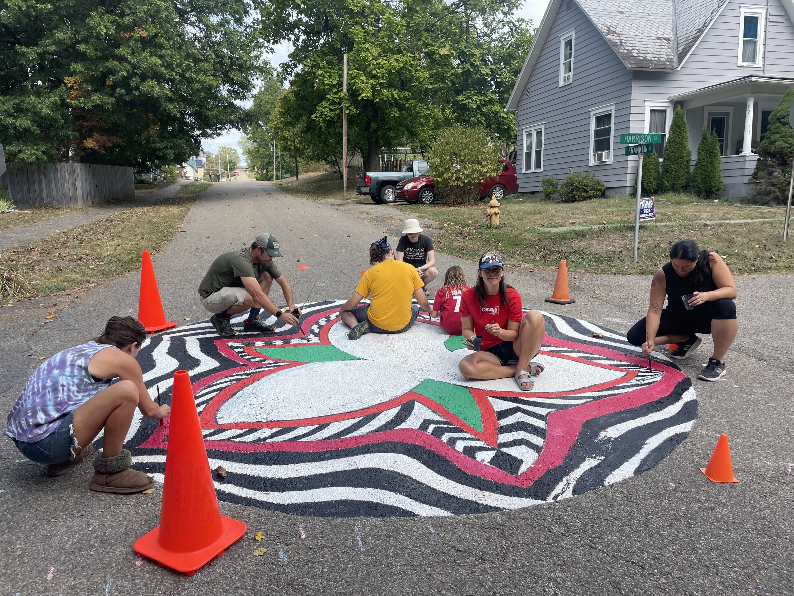 Amesville murals discourage speeding, celebrate community – Athens ...